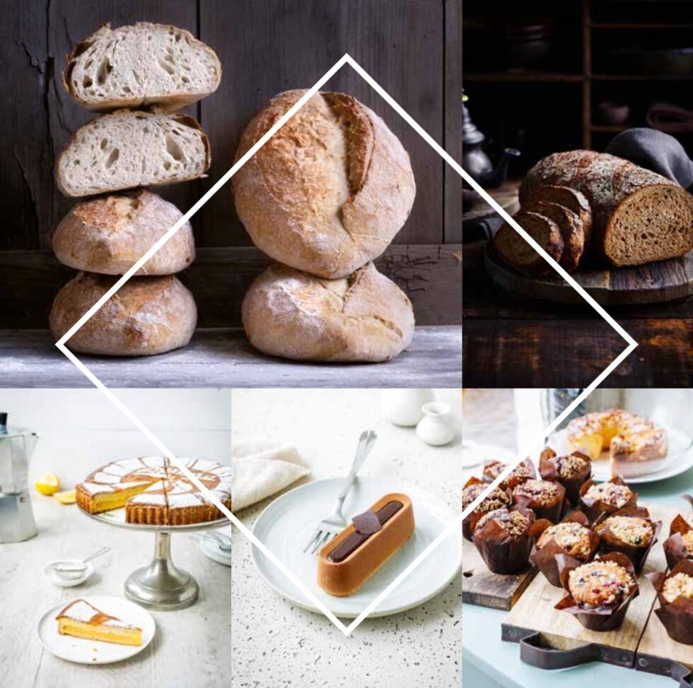 Nosotros - Panesco Food